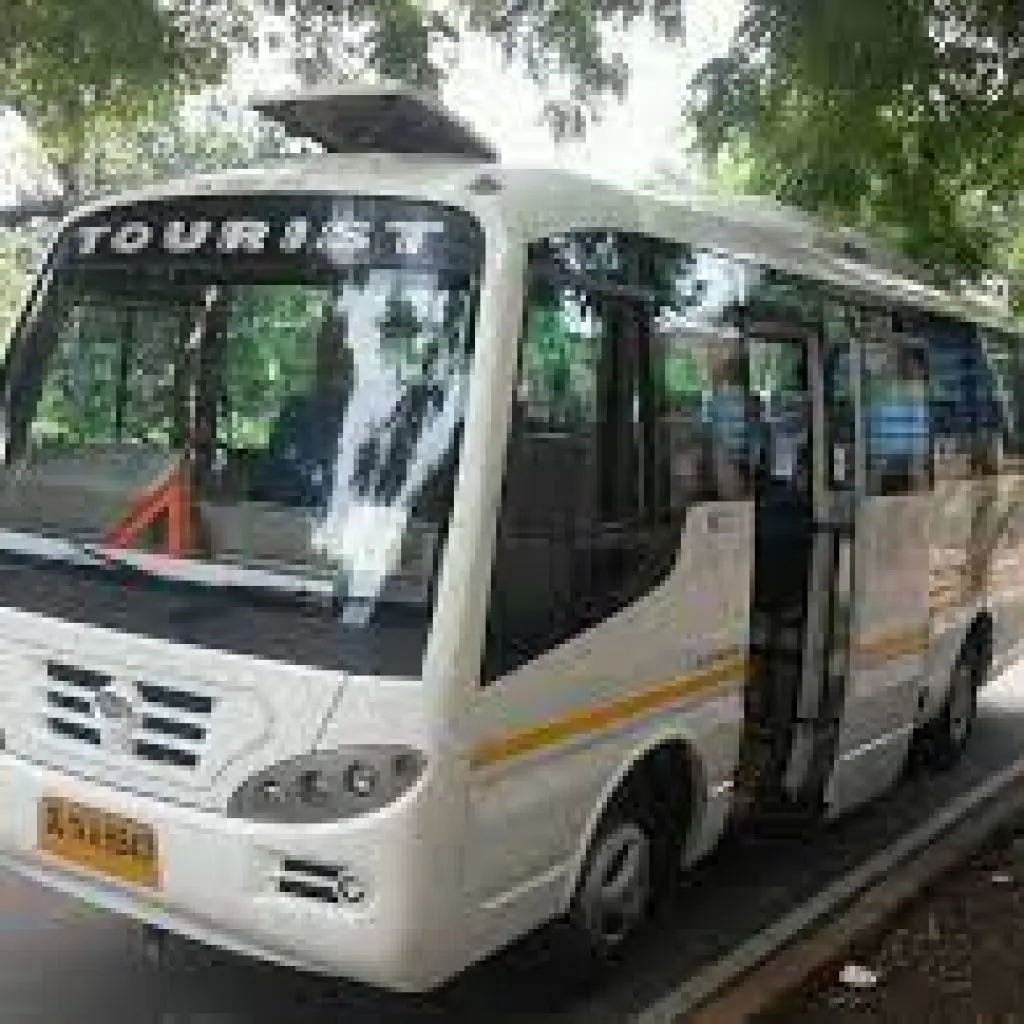 Mini Bus 20 Seater » triFete